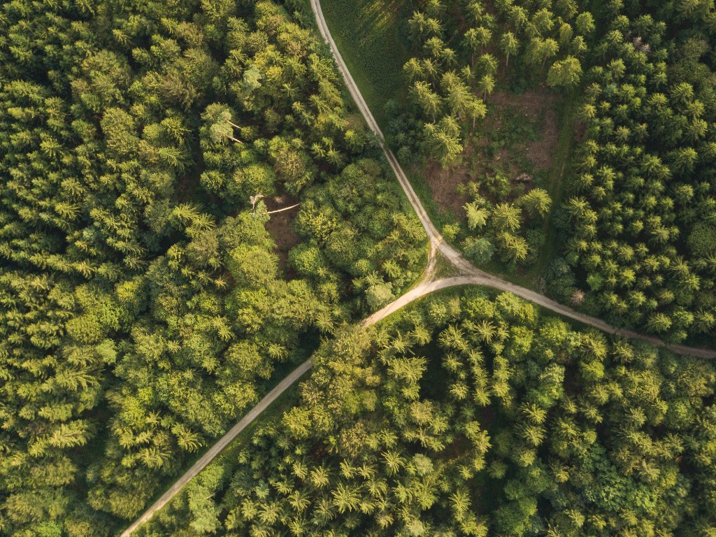 Navigating the messy middle – 5 takeaways from Climate Week NYC Navigating the messy middle – 5 takeaways from Climate Week NYC